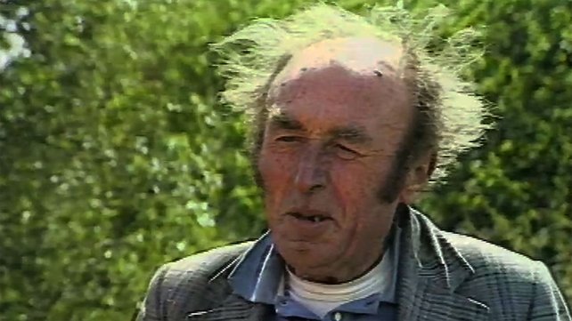 RTE Archive Footage in 1986 of Calf Number 39 for Bertha the World's ...
