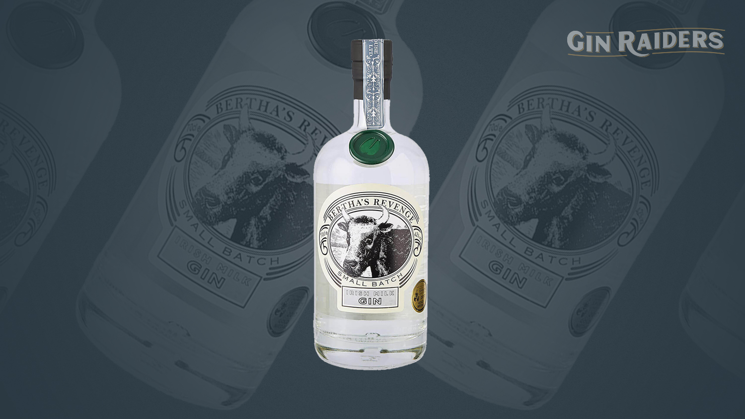Gin Raiders - The 3 Best Gins We Tasted in July 2023 - News from ...