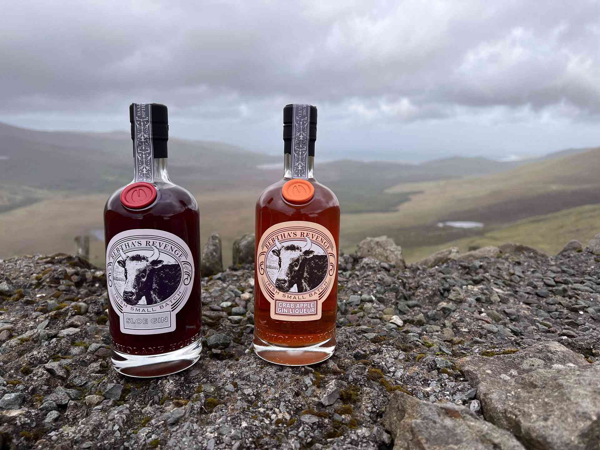 Bronze for Sloe Bertha at the Blas na hEireann Irish Food Awards 2022 ...